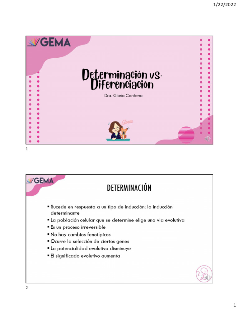 7B - Especificación, Determinación y Diferenciación | PDF