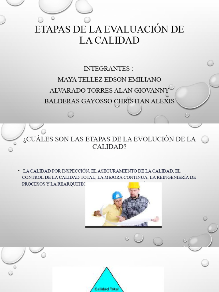 Etapas de La Evaluación de La Calidad (1) | PDF