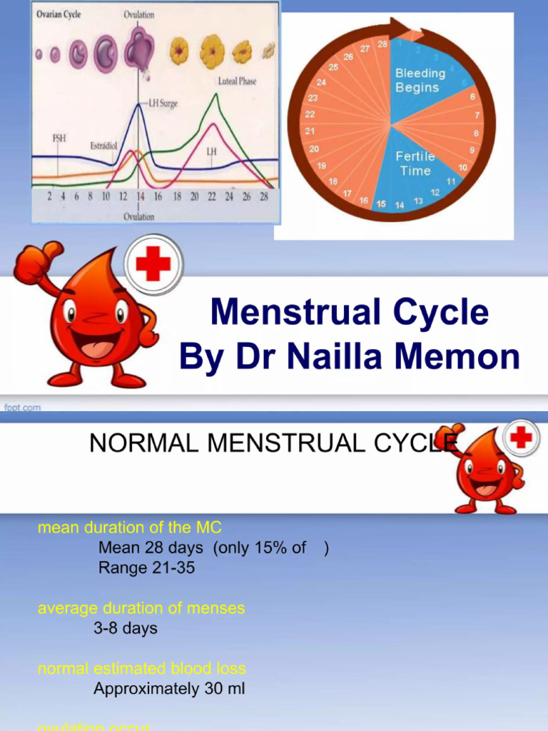 Grade8 Menstrual Cycle | PDF