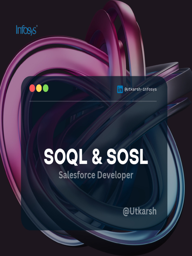 SOQL&SOSL | PDF | Art | Computers