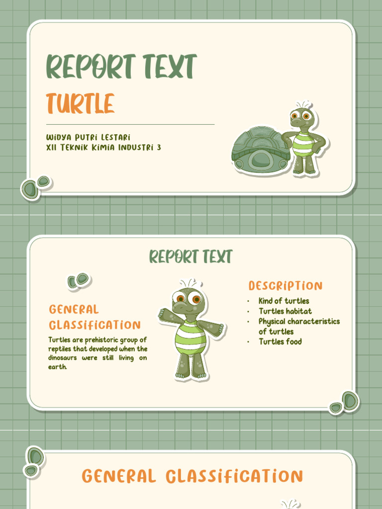 Report Text Turtle | PDF