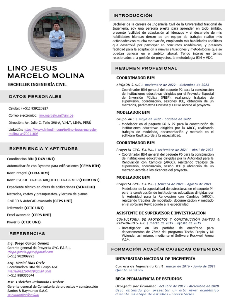 CV_MODELADOR BIM_MARCELO MOLINA LINO JESUS | PDF