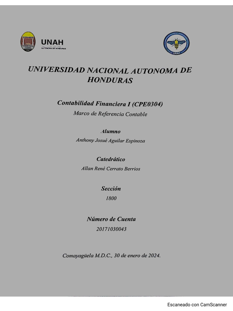 Marco de Referencia Contable | PDF