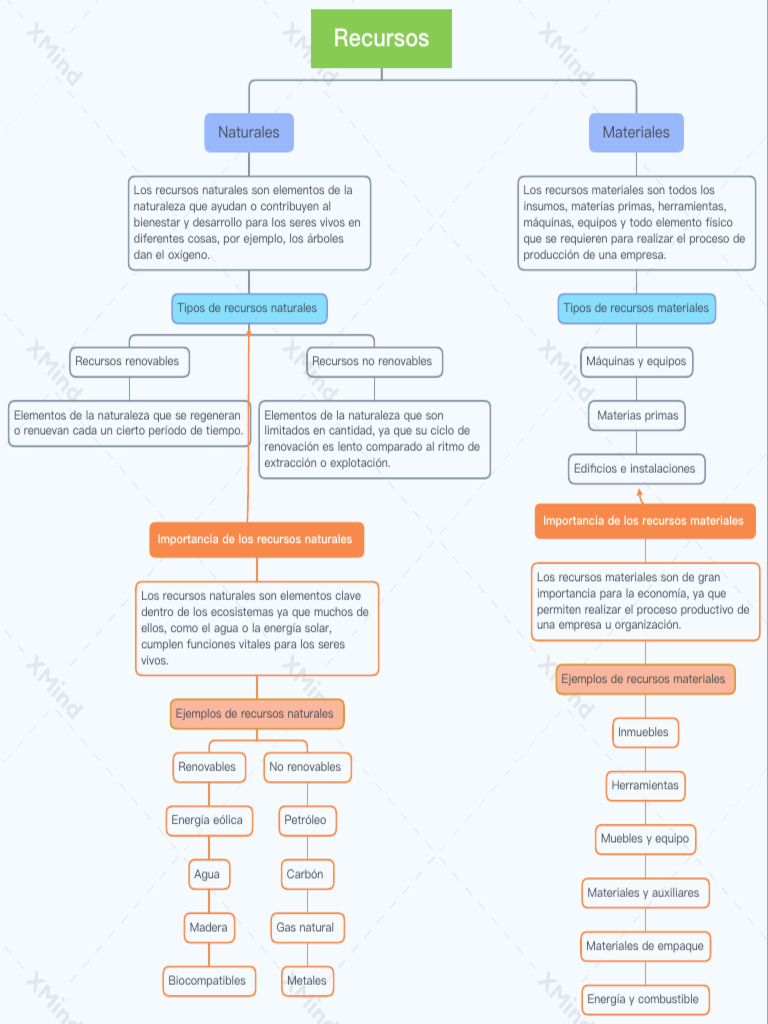 Mapa conceptual | PDF