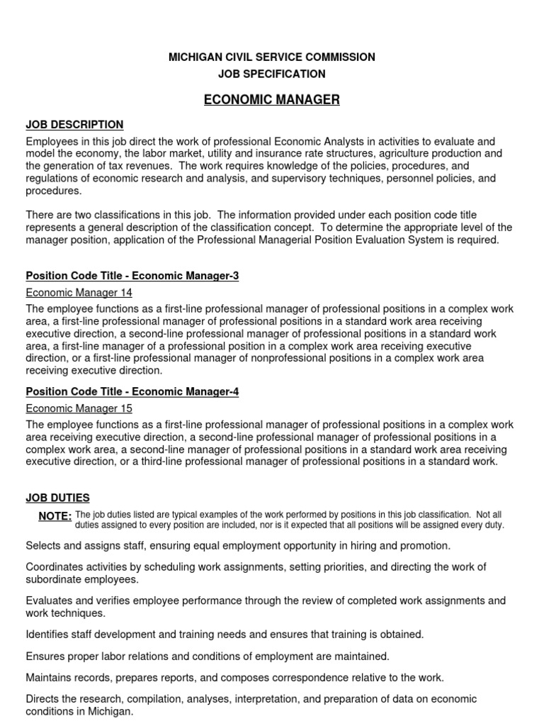 Economic Manager | PDF