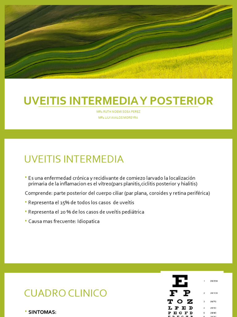 Uveitis intermedia y posterior | PDF | Inflamación | Corticosteroides