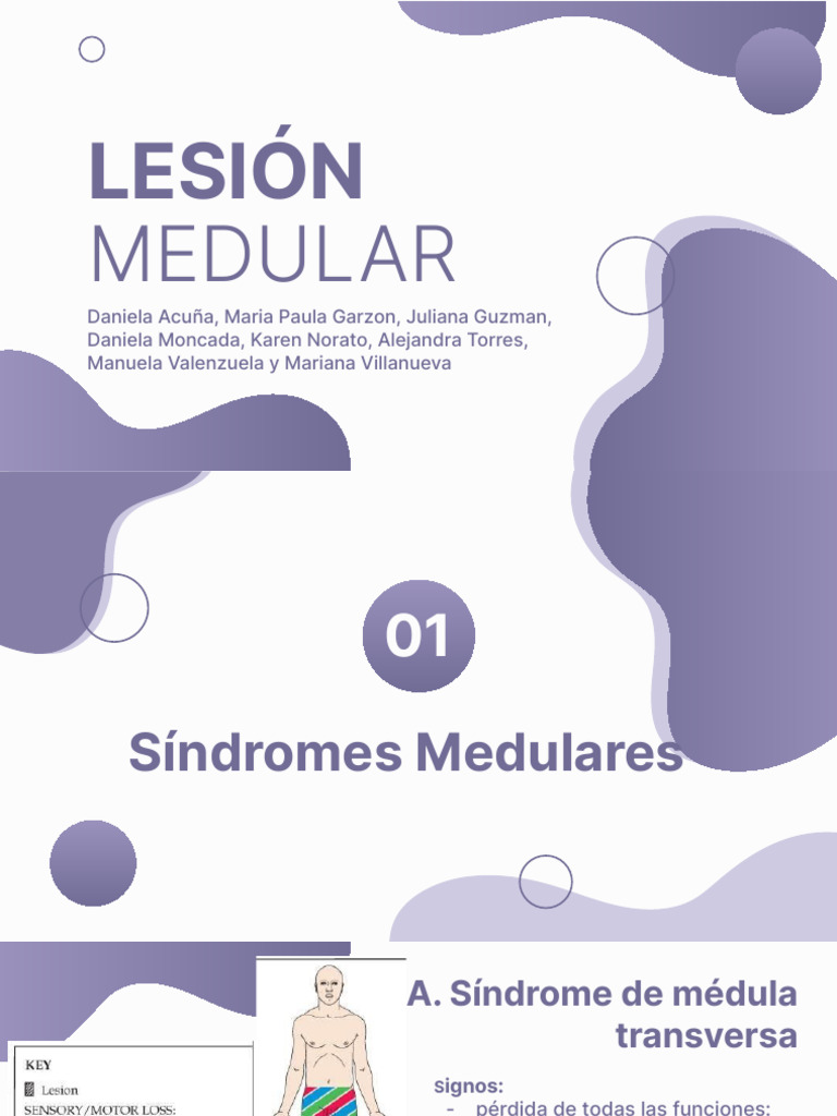 Lesion Medular | PDF