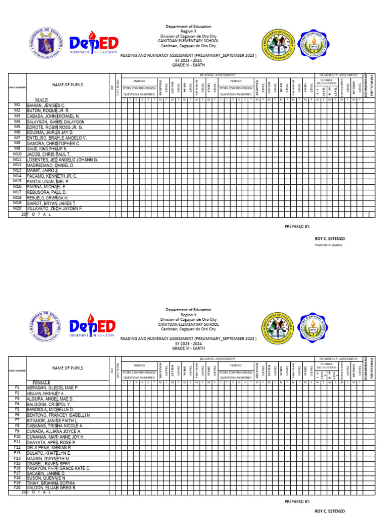 Aser Assesment Result Form | PDF