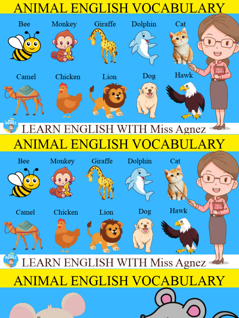 Animals Vocabulary With Picture Animations and Sentence Samples - Fun ...