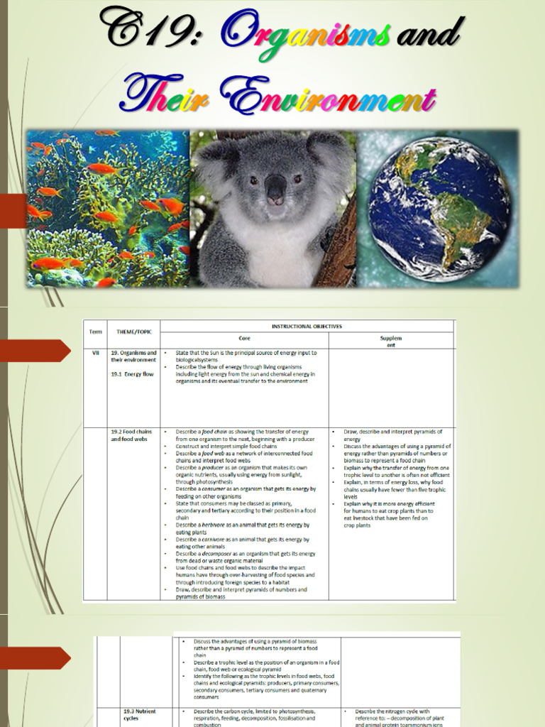 Bio S4 C19 Organisms and Their Environment 2 | PDF | Food Web | Water Vapor