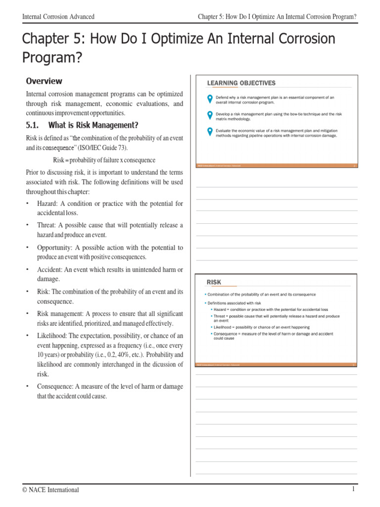 Chapter 5 How Do I Optimize An Internal Corrosion | PDF | Business | Computers