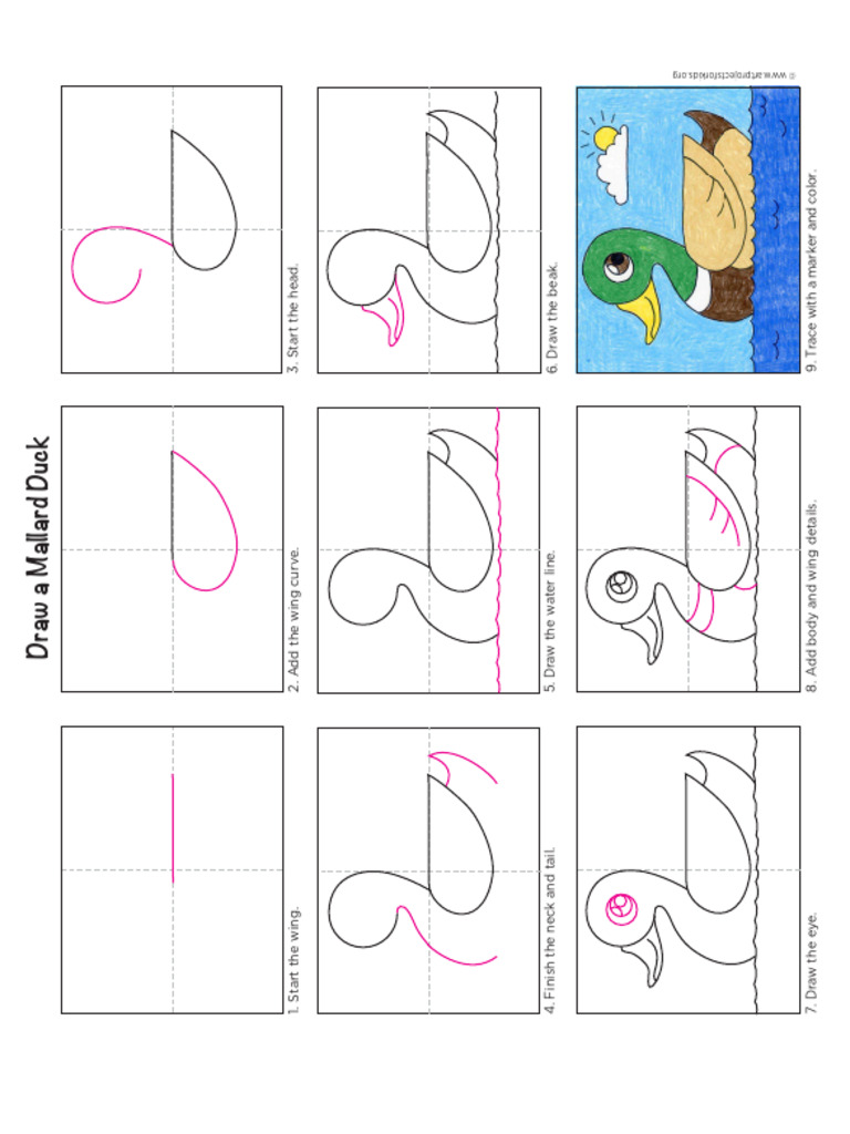 Draw A Duck | PDF