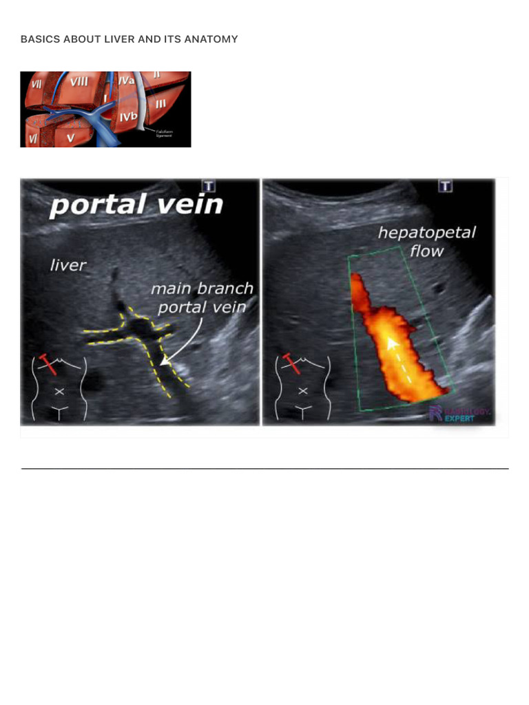 Basics About Liver and Its Anatomy | PDF