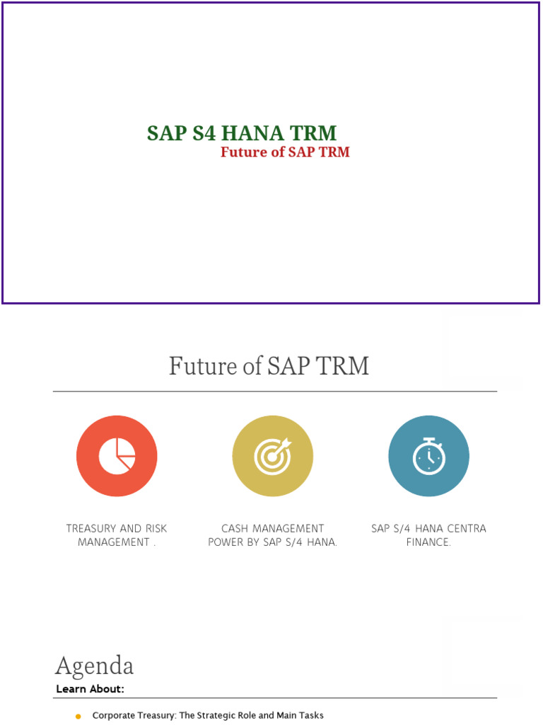 Future of SAP TRM | PDF | Replication (Computing) | Interface (Computing)