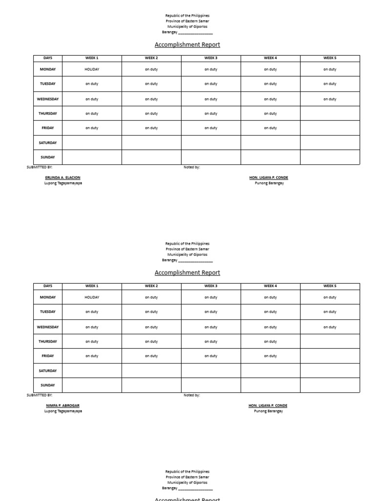 ACCOMPLISHMENT REPORT SAMPLE | PDF