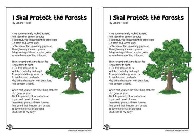 I Shall Protect The Forest | PDF