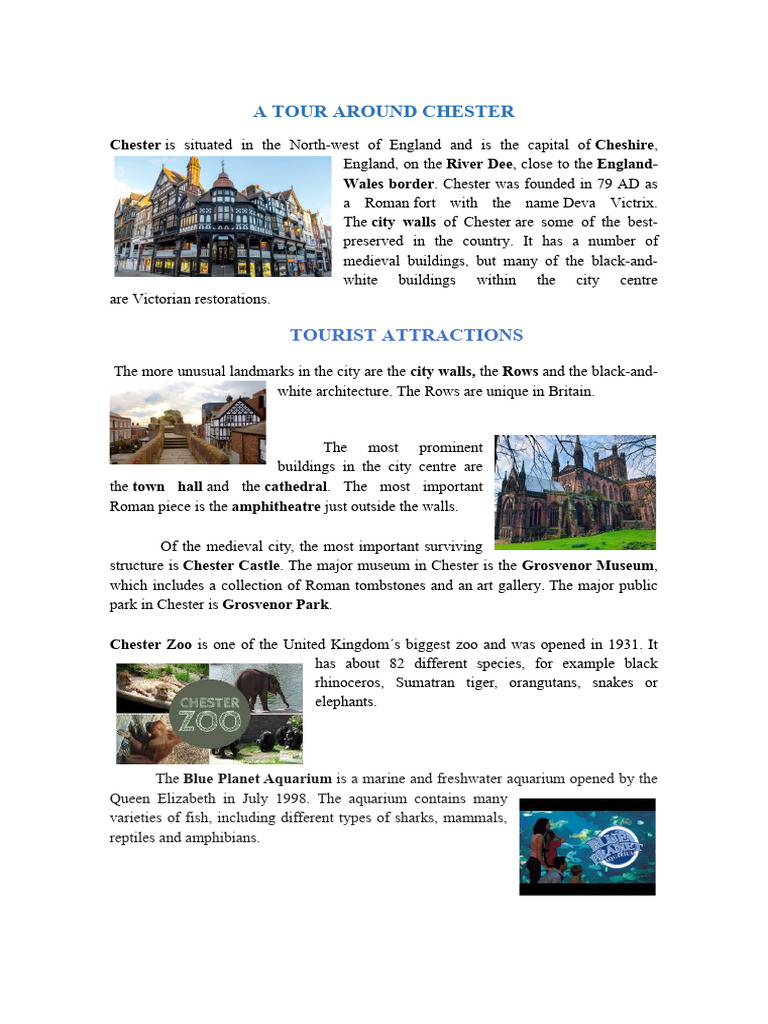 Reading Chester | PDF | Art