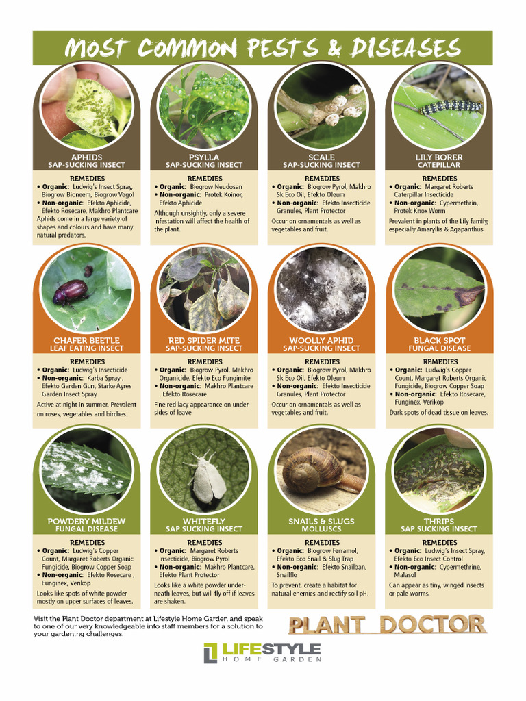 Common Pests and Diseases | PDF