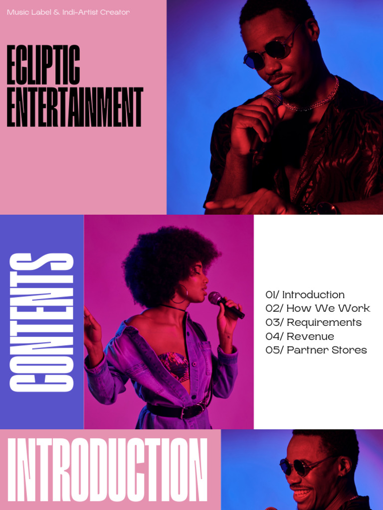 Ecliptic Entertainment Music Distribution Solutions | PDF