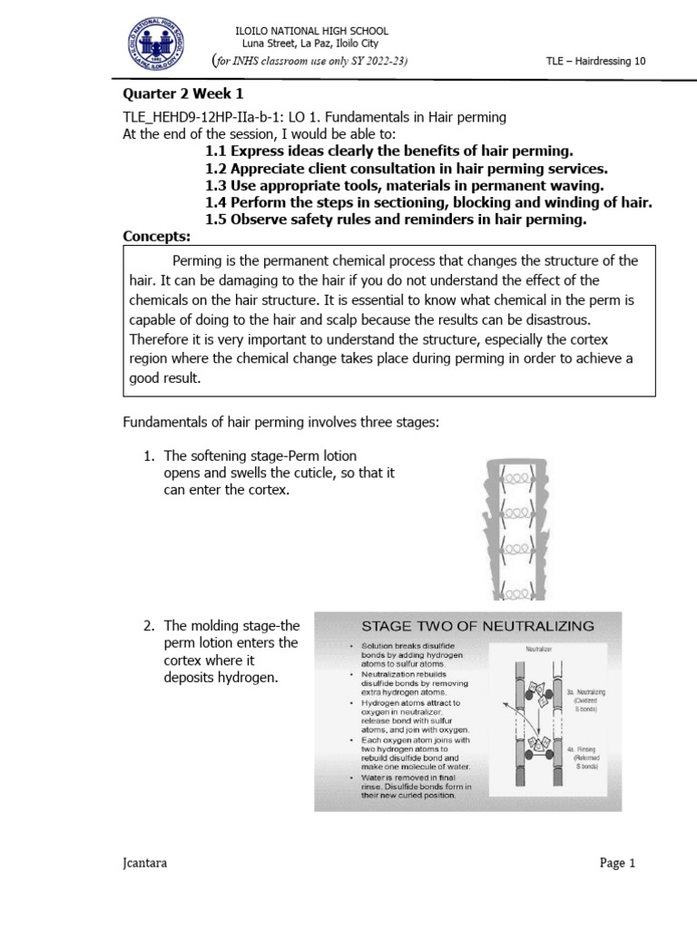 Quarter 2 SLK TLE 10 HAIRDRESSING | PDF | Hair | Hairdresser