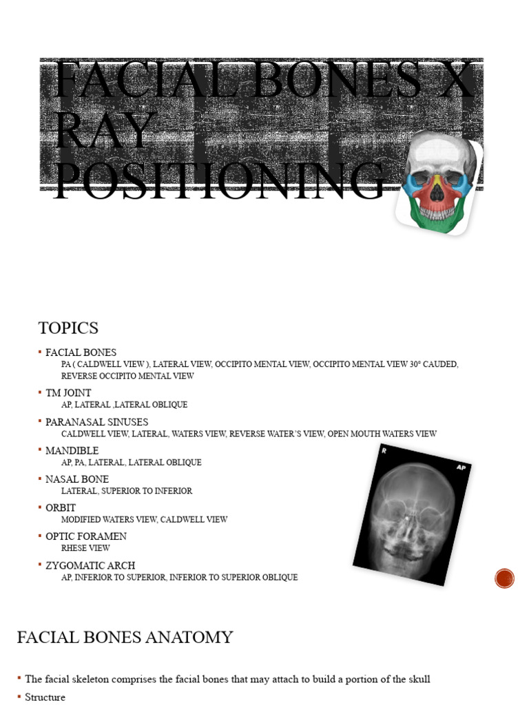 Facial Bone X Ray Positioning | PDF