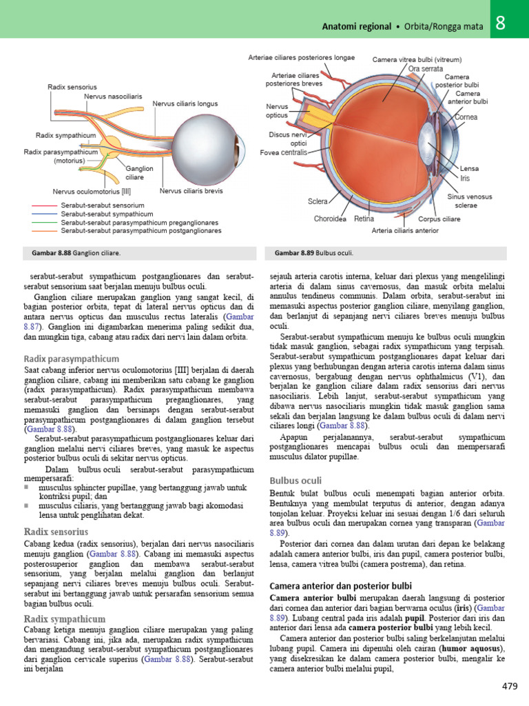 Gray - S Basic Anatomy International | PDF