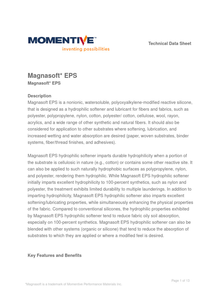 Magnasoft Eps | PDF | Computers | Technology & Engineering