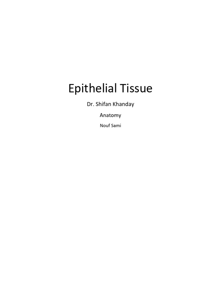 Epithelial Tissue | PDF | Epithelium | Anatomy