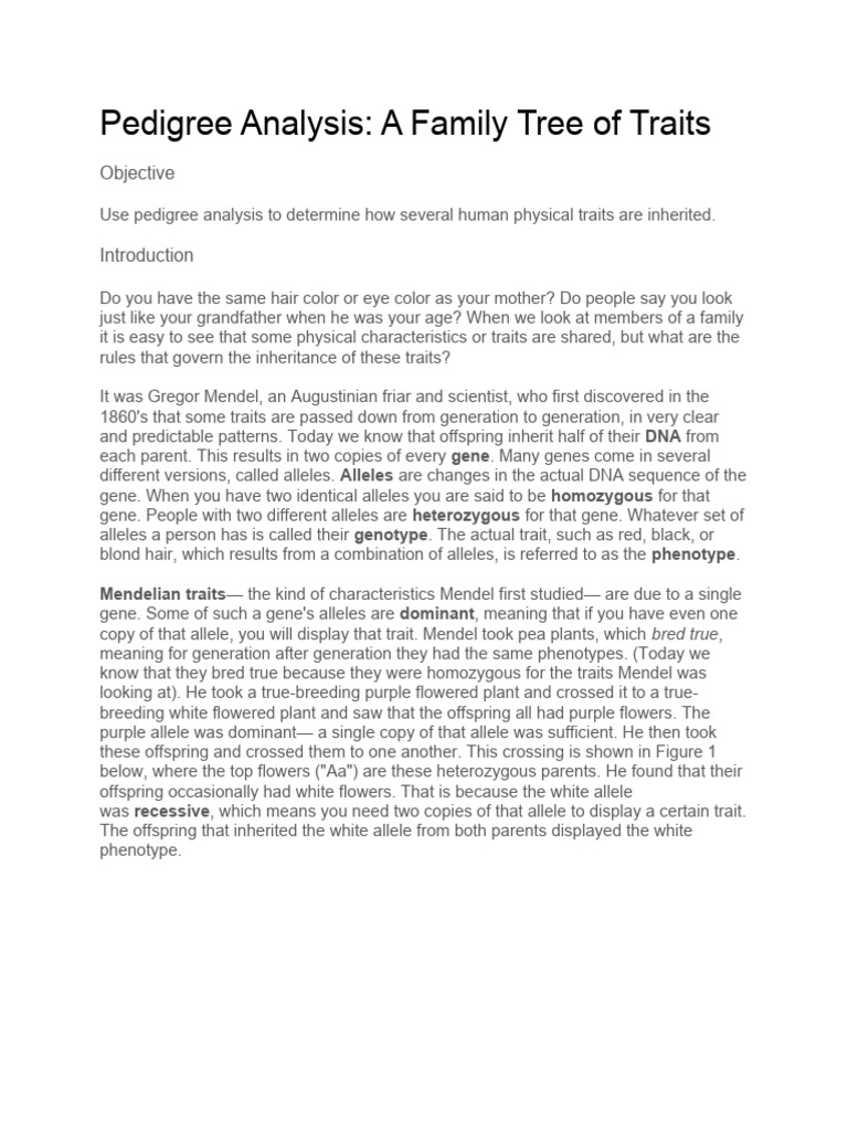 Pedigree Analysis Project Pdf Dominance Genetics Allele