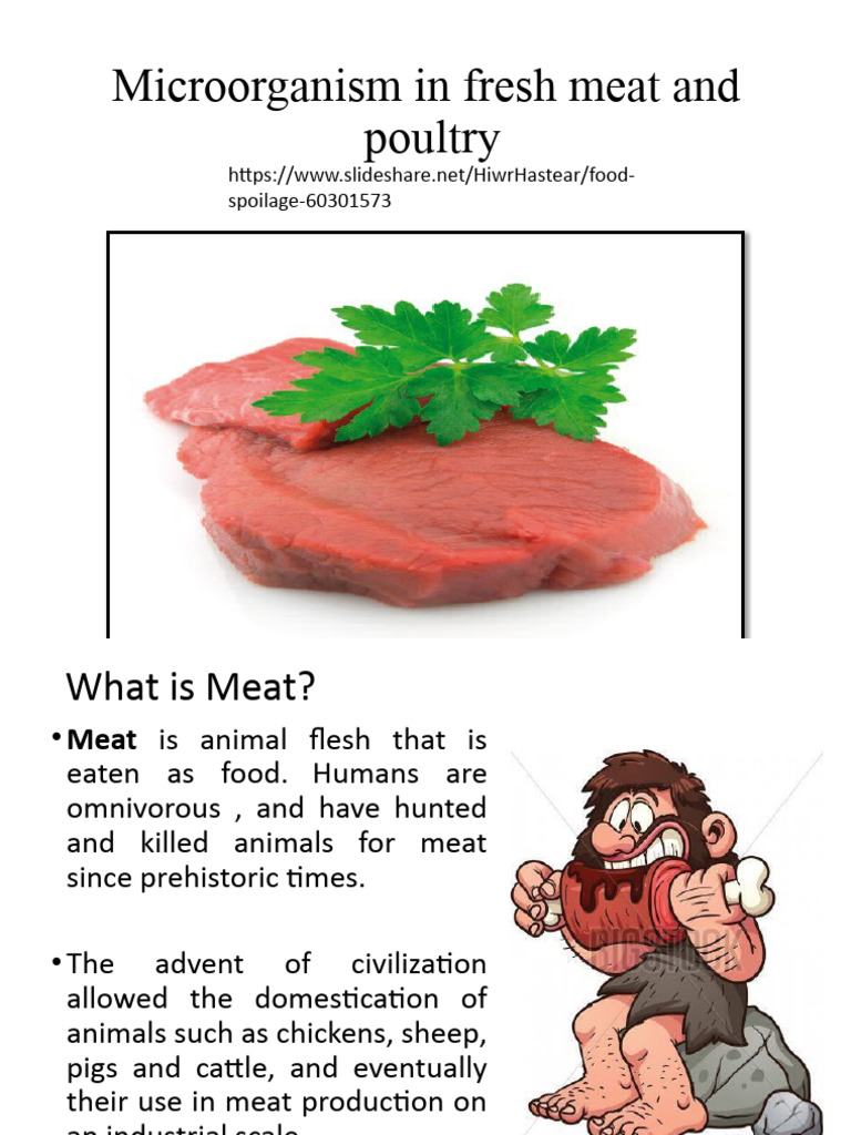 Meat | PDF | Meat | Vegetables