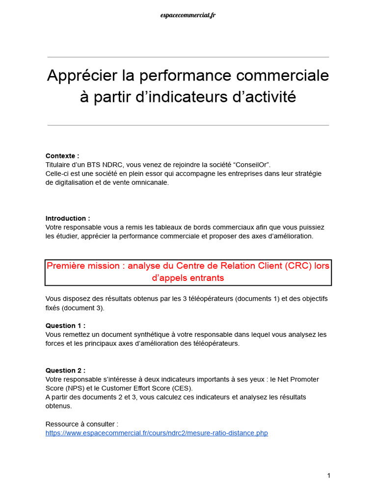 Performance Commerciale | PDF