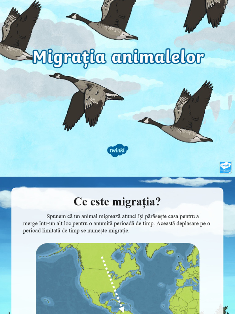 t2 T 48 Migratia Animalelor Prezentare Powerpoint | PDF