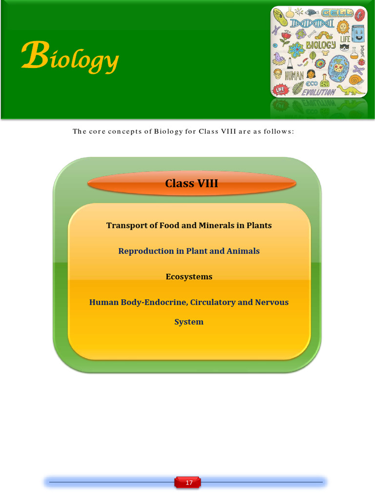 Class 8 Biology Syllabus | PDF