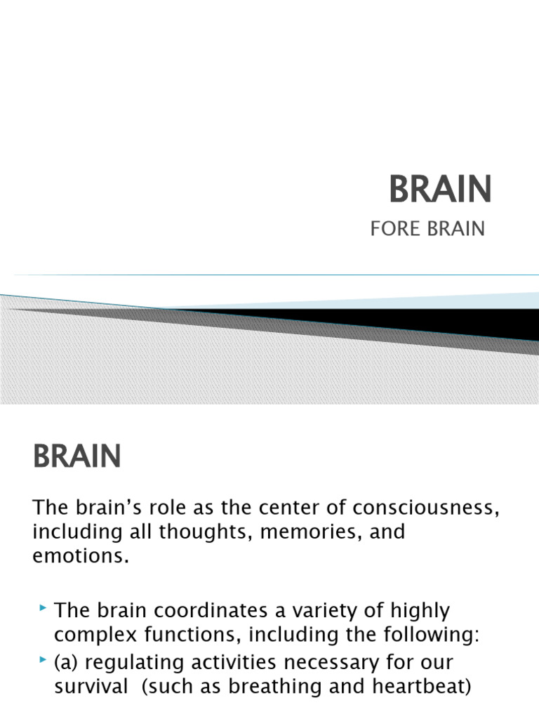 Brain | PDF
