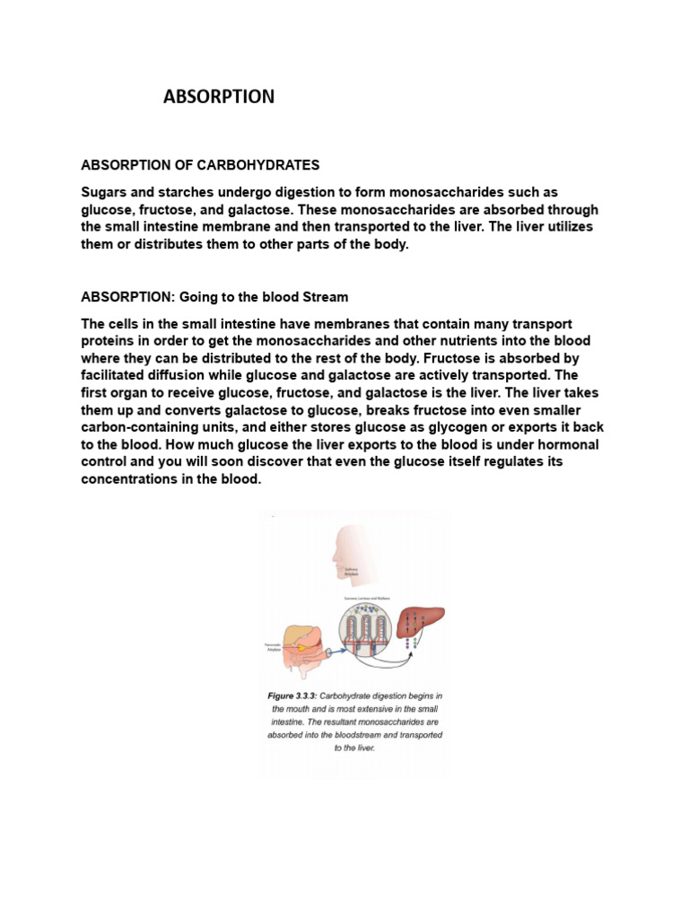 ABSORPTION | PDF