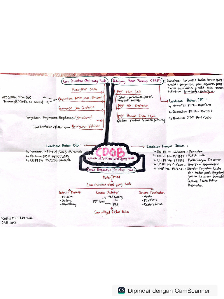 Nastiti - Mind Map CDOB | PDF