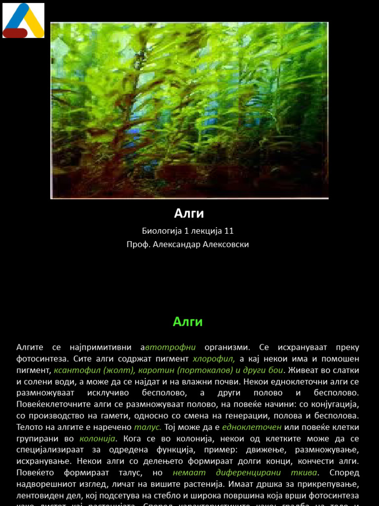 Algi | PDF