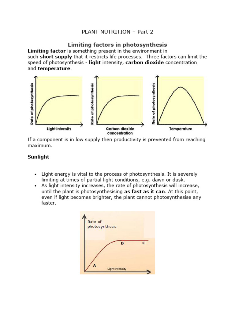 PLANT NUTRITION Part 2 | Download Free PDF | Photosynthesis | Carbon ...