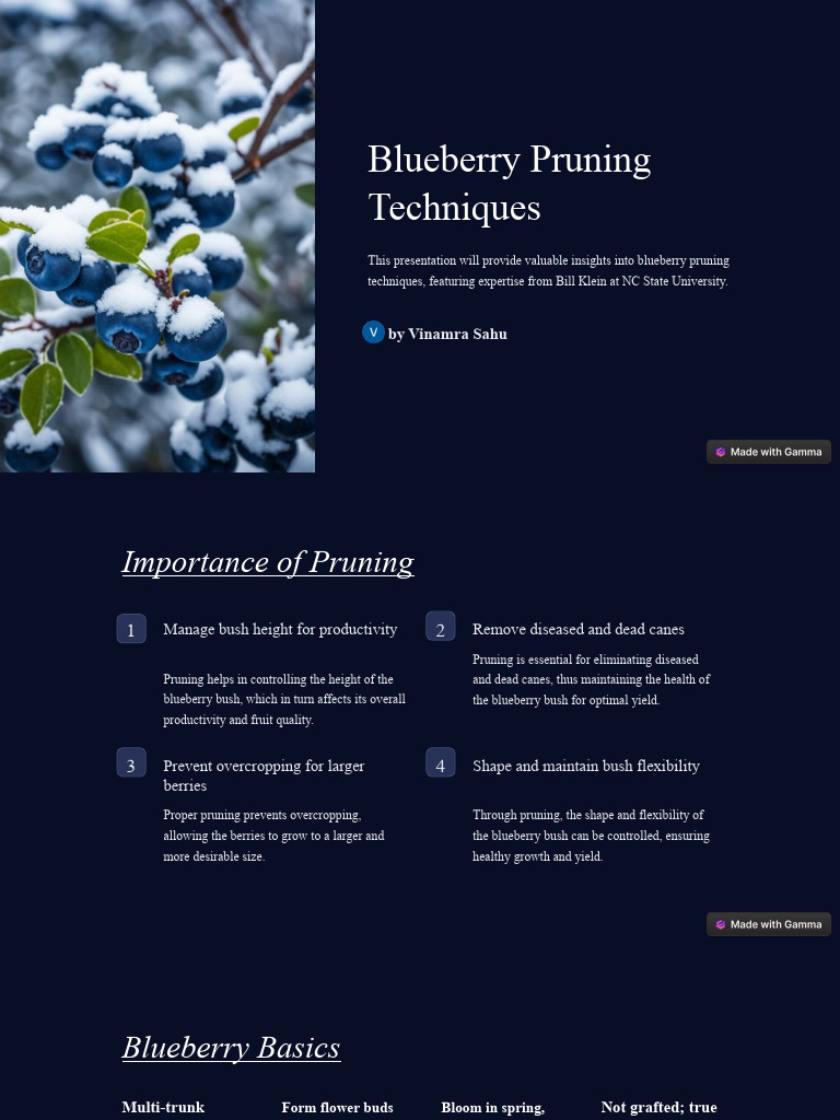 Blueberry Pruning Techniques | PDF | Pruning | Blueberry