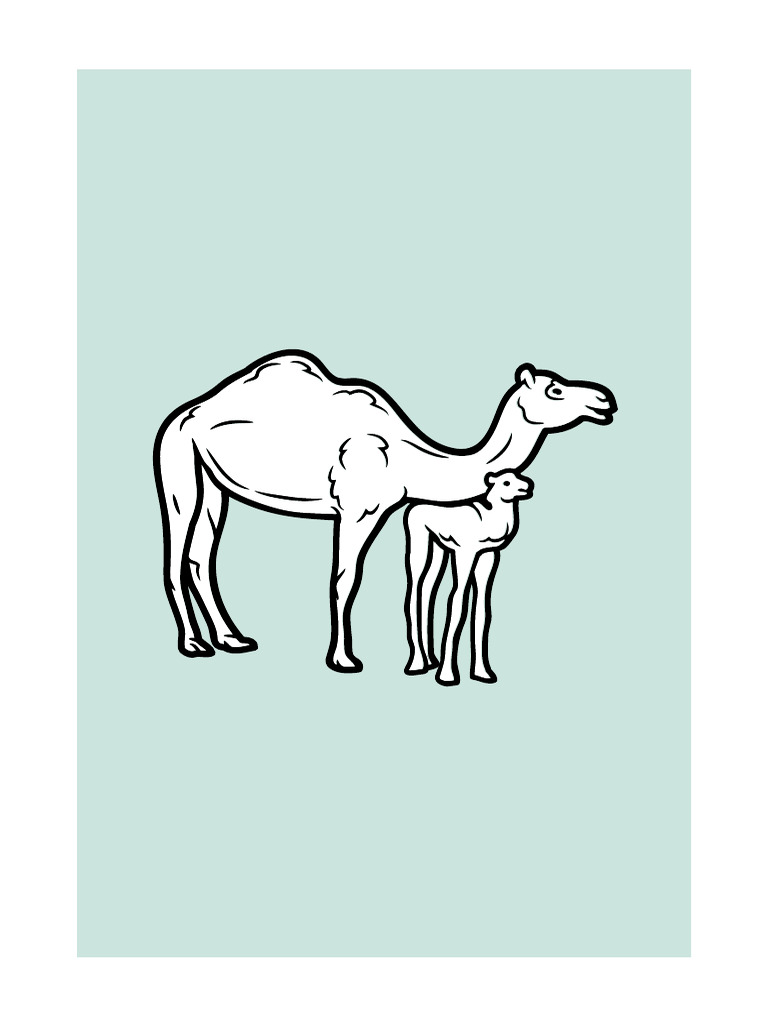 Camel drawing book for kids | PDF