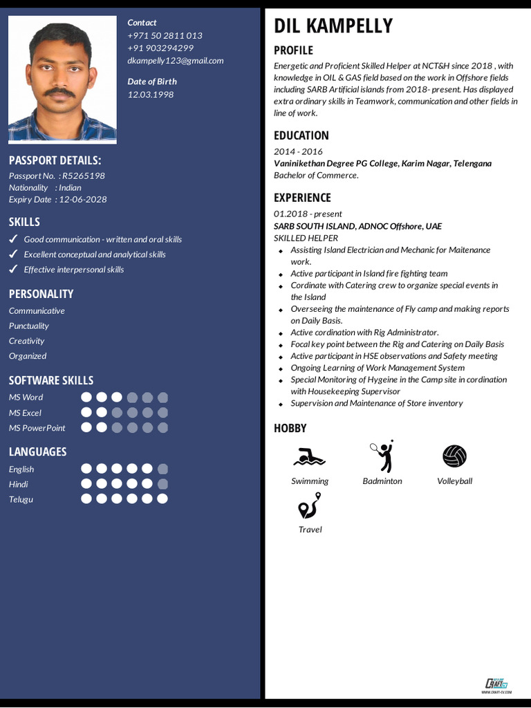 Dil Kampelly - CV | PDF | Cognition | Learning