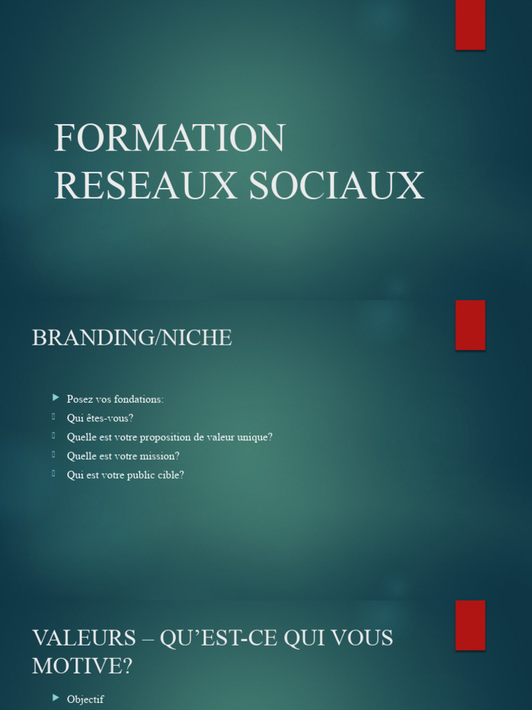 Formation Reseaux Sociaux | PDF