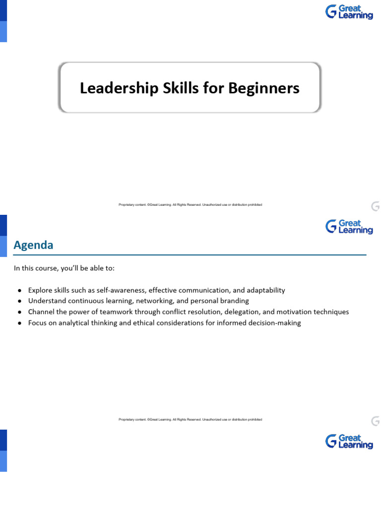 Leadership Skills For Beginners | PDF