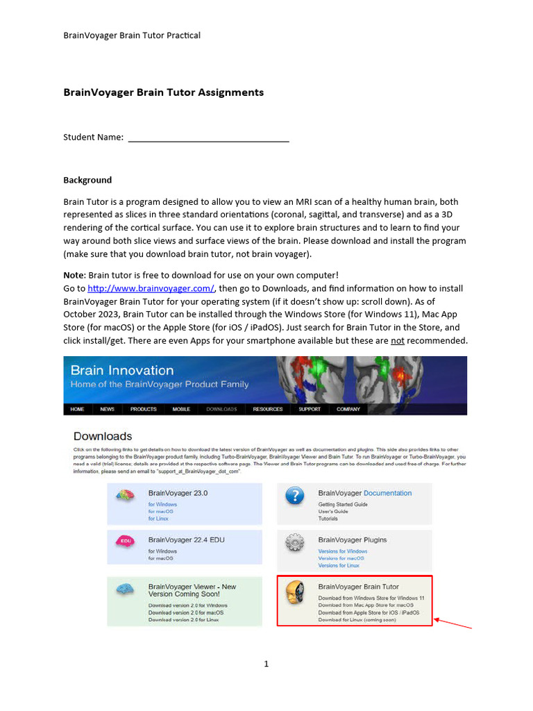 Brainvoyager Braintutor Exercises - v2 | PDF | Cerebral Cortex | Temporal Lobe