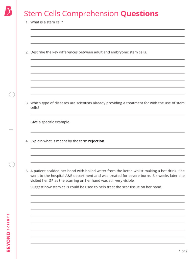 Stem Cells: Key Concepts and Questions | PDF | Stem Cell | Embryonic ...