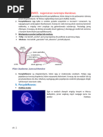8.płazińce I Nicienie | PDF