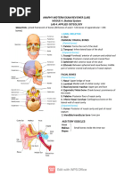 Gummy Bear Lab | PDF | Anatomical Terms Of Location | Animal Physiology