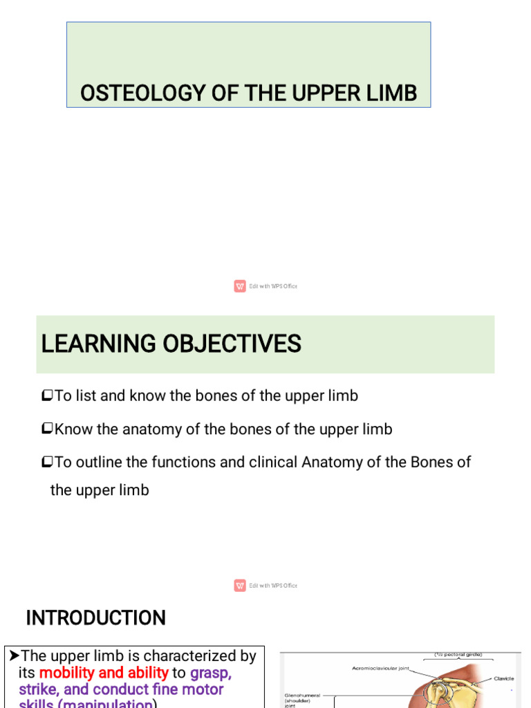 Osteology of The Upper Limb 2 | PDF