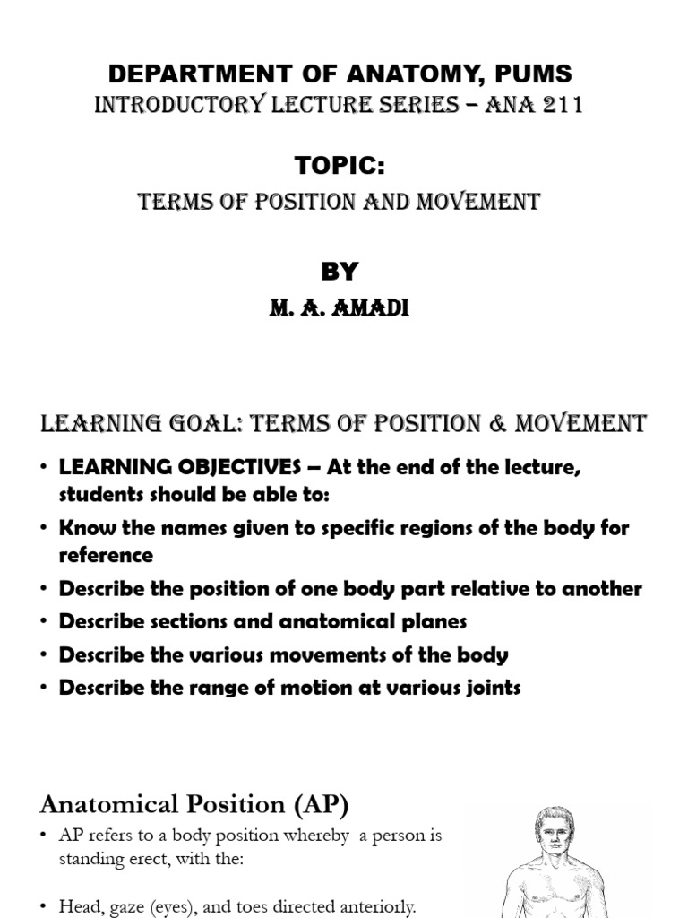 Terms of Position and Movement | PDF | Anatomical Terms Of Motion ...