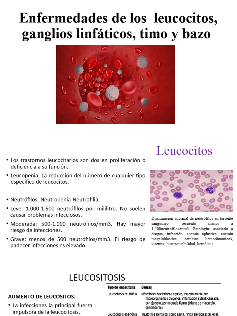 Enfermedades de los leucocitos, ganglios linfáticos, | PDF | Bazo | Sangre